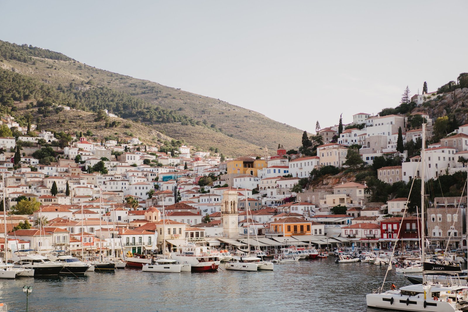 MANAGEMENT FOR YOUR HYDRA PROPERTY - Hydra Insights